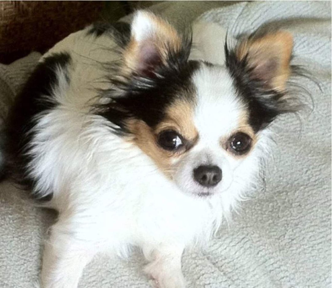 Mark Buser from Leigh High School - Classmates