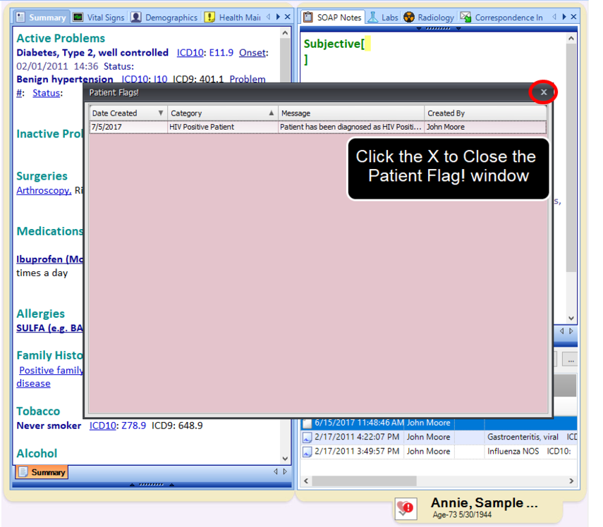 Adding Flags/Notes to a Patient's Chart | Clinical User Manual ...