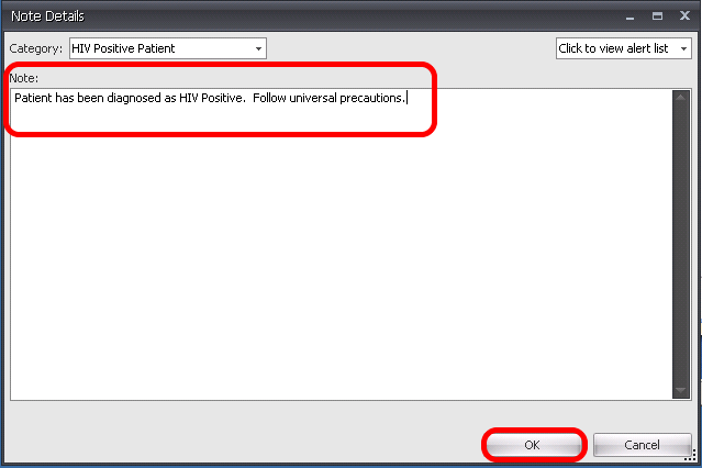 Adding Flags/Notes to a Patient's Chart | Clinical User Manual ...