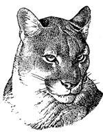 S.C. Lee Junior High School - Home