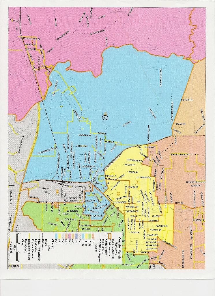 Webster Parish School Board - District 9