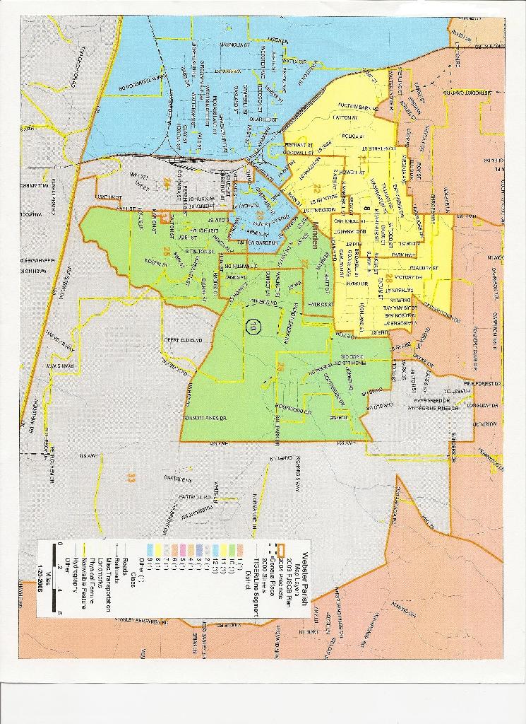 Webster Parish School Board - District 10