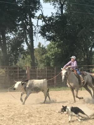 Simms ISD - Photo Album