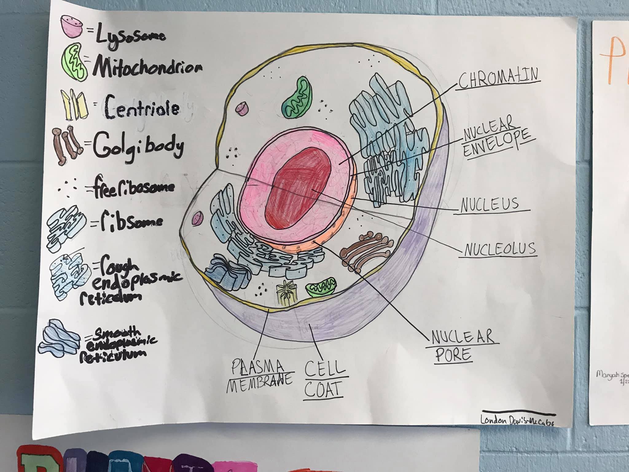 Whiteville Elementary School - Home