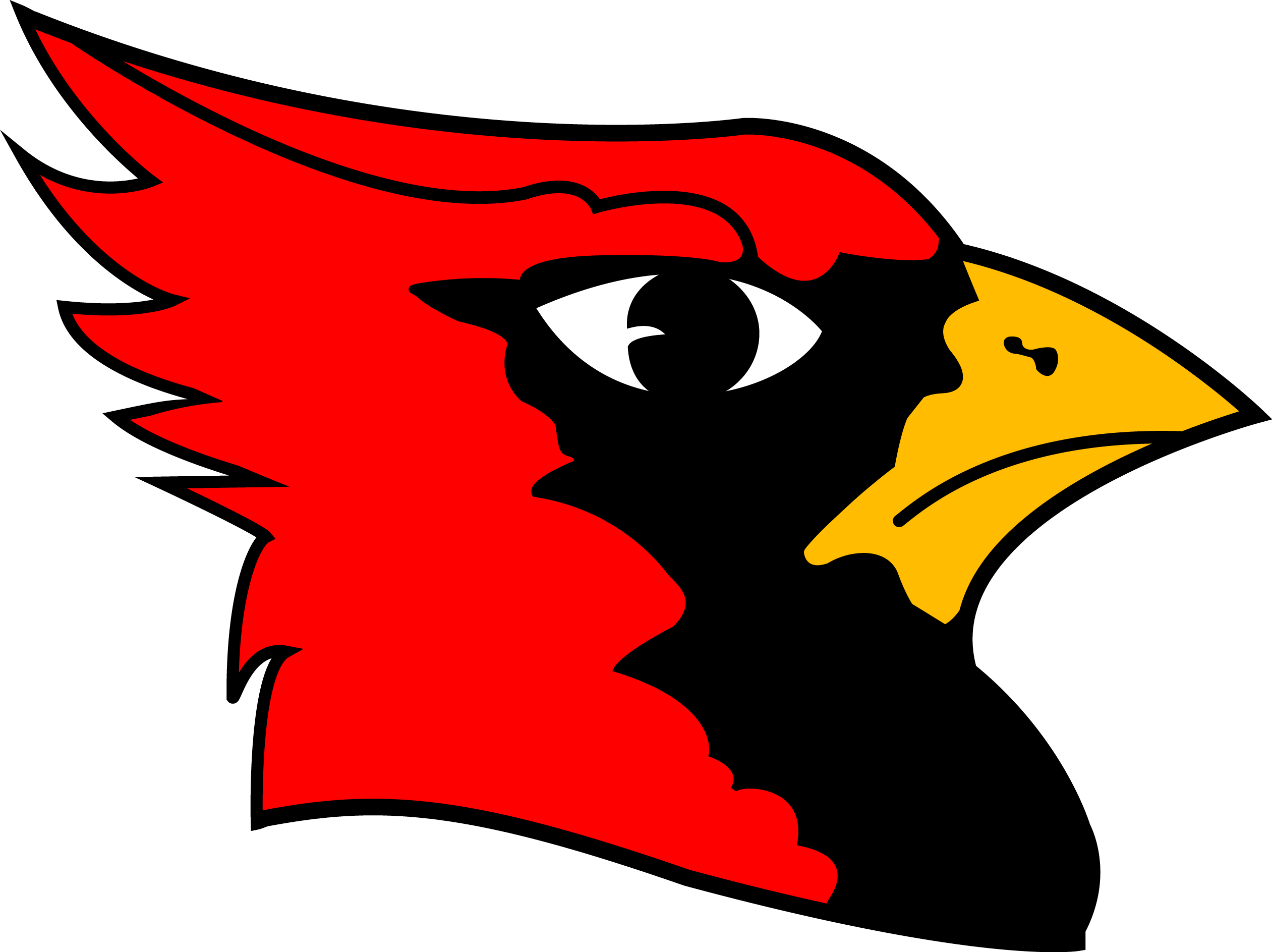 Bridge City High School - Home