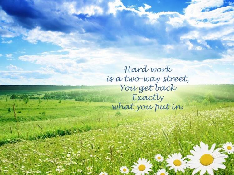 USD 474 - Haviland - Katherine Sneed