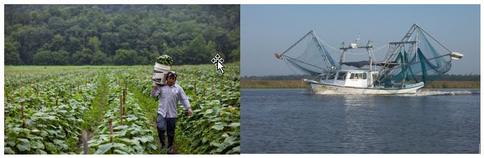 Region 5 Education Service Center - Title I Part C, Migrant Education ...