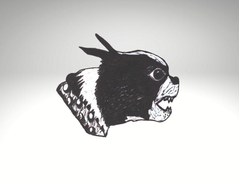 Thomas-Fay-Custer Unified Schools - Home