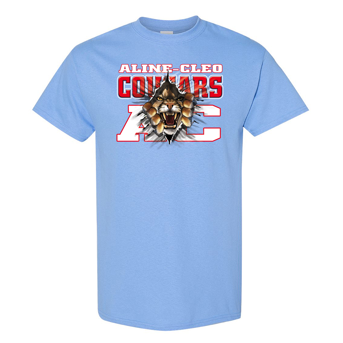 Aline Cleo Public Schools - Home