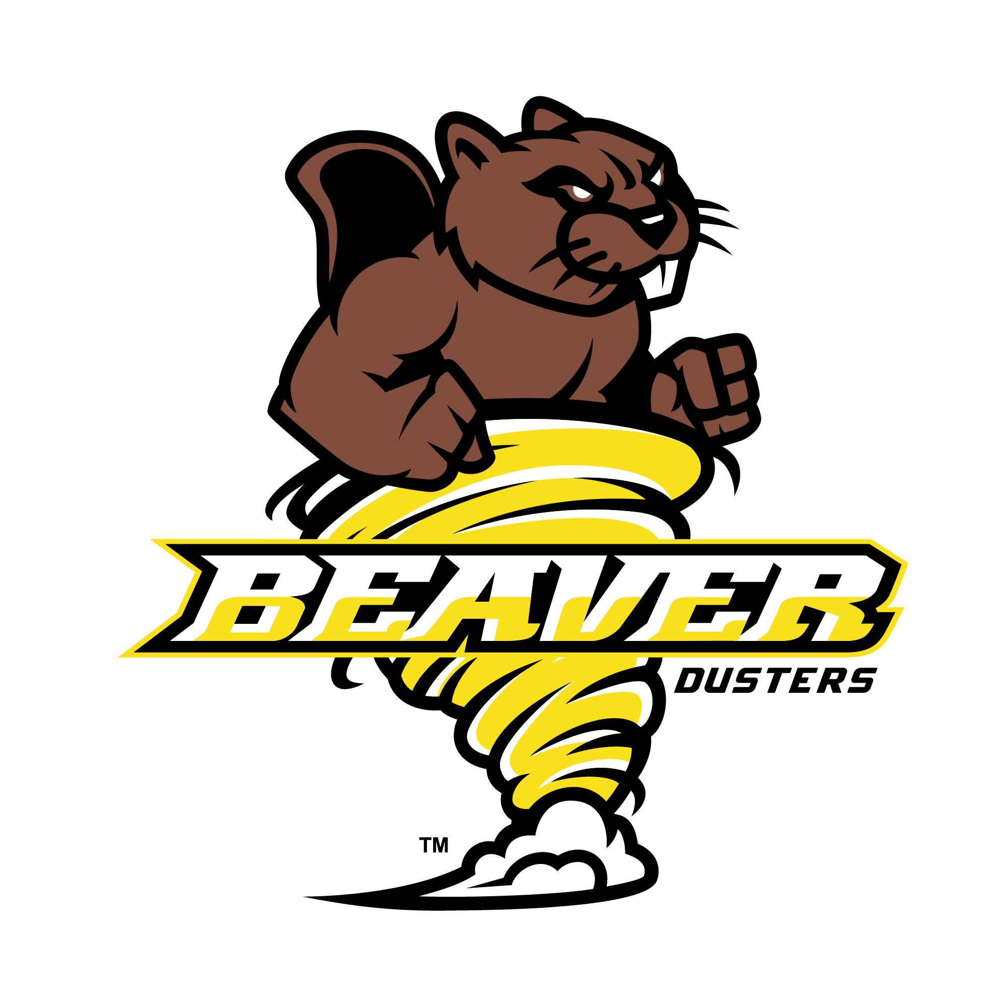 Beaver Public Schools - Home of the Dusters