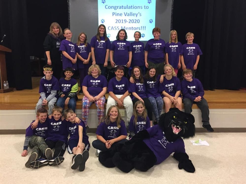 Pine Valley Central School District - Elementary School Counseling
