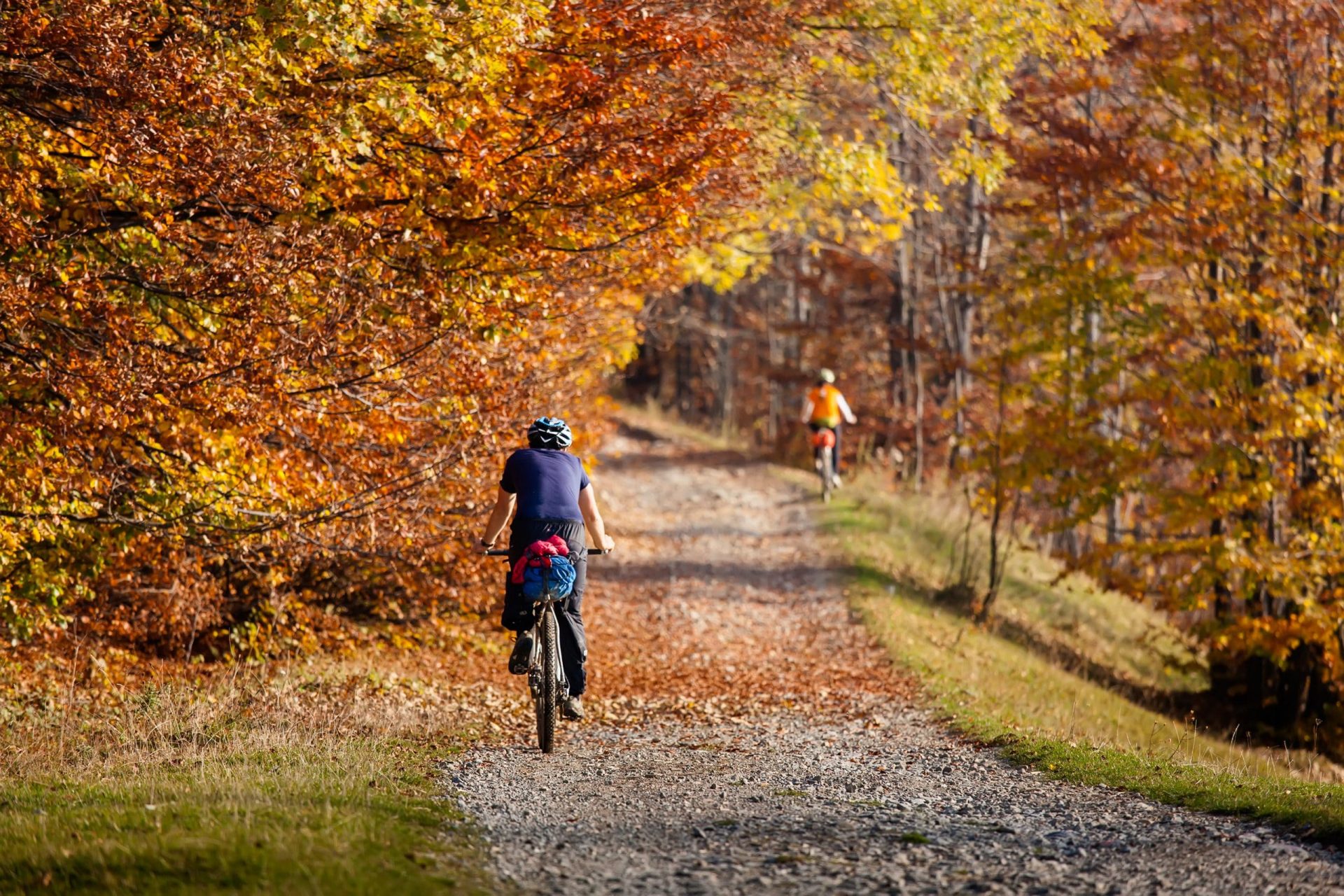 Keep Rolling event: by community, for community - Saskatoon Cycles