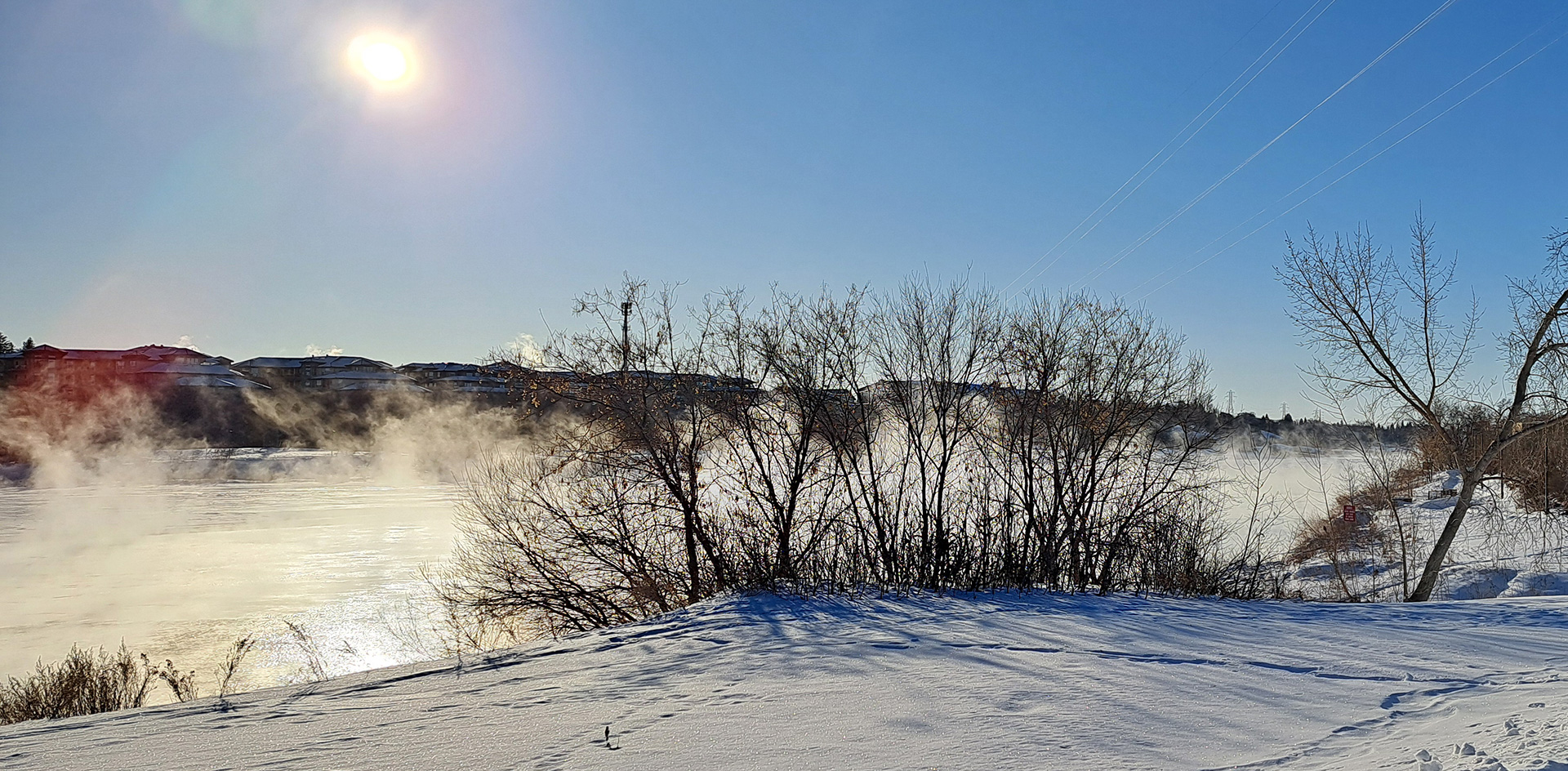 Saskatoon Cycles January 2025 Newsletter - Saskatoon Cycles