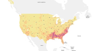 African American Population