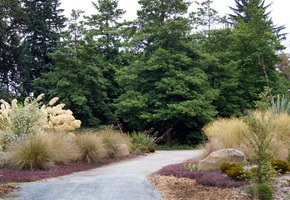 Friends of Seattle’s Olmsted Parks