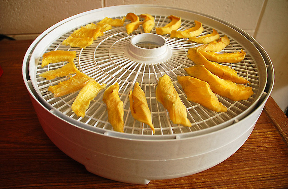 Food Dehydrator – A Must Have For Your Kitchen