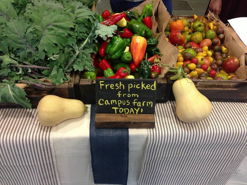 Farm Fresh, Right On Campus - University of Michigan