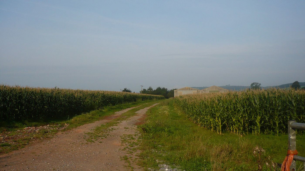 What You Need to Know About the Potential Monsanto Merger