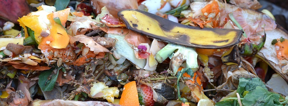 How and Why You Should Start Composting in College