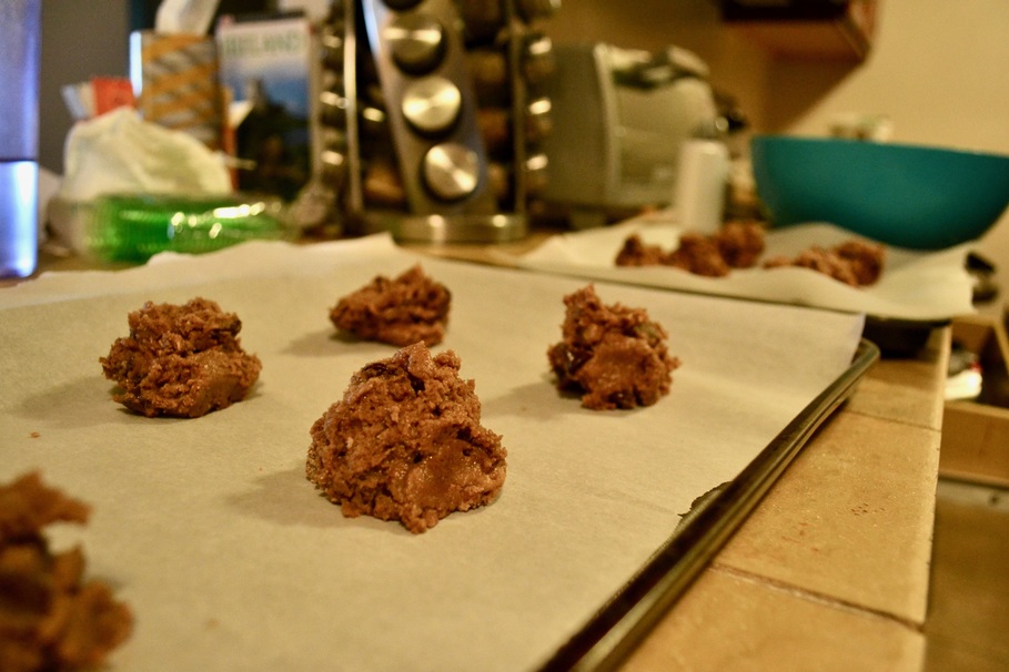 The Verdict on Cricket Flour Chocolate Chip Cookies Cookies