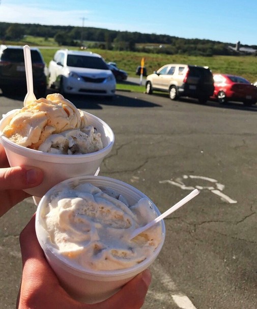 Maple View Farm: The Ice Cream and the Experience