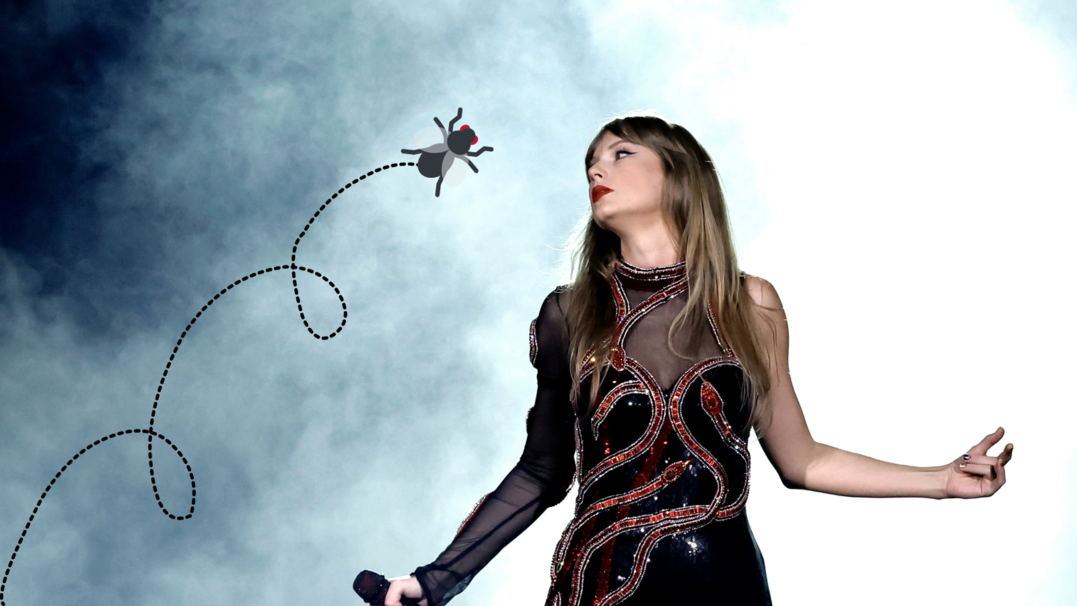 Taylor Swift Swallowed A Bug On Stage, So Try These Bug Snacks