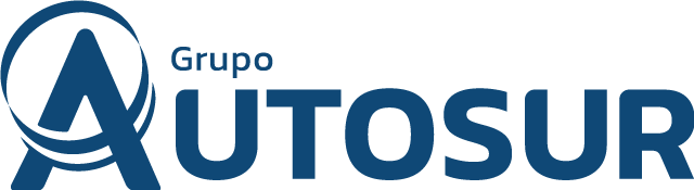 Grupo Auto Sur