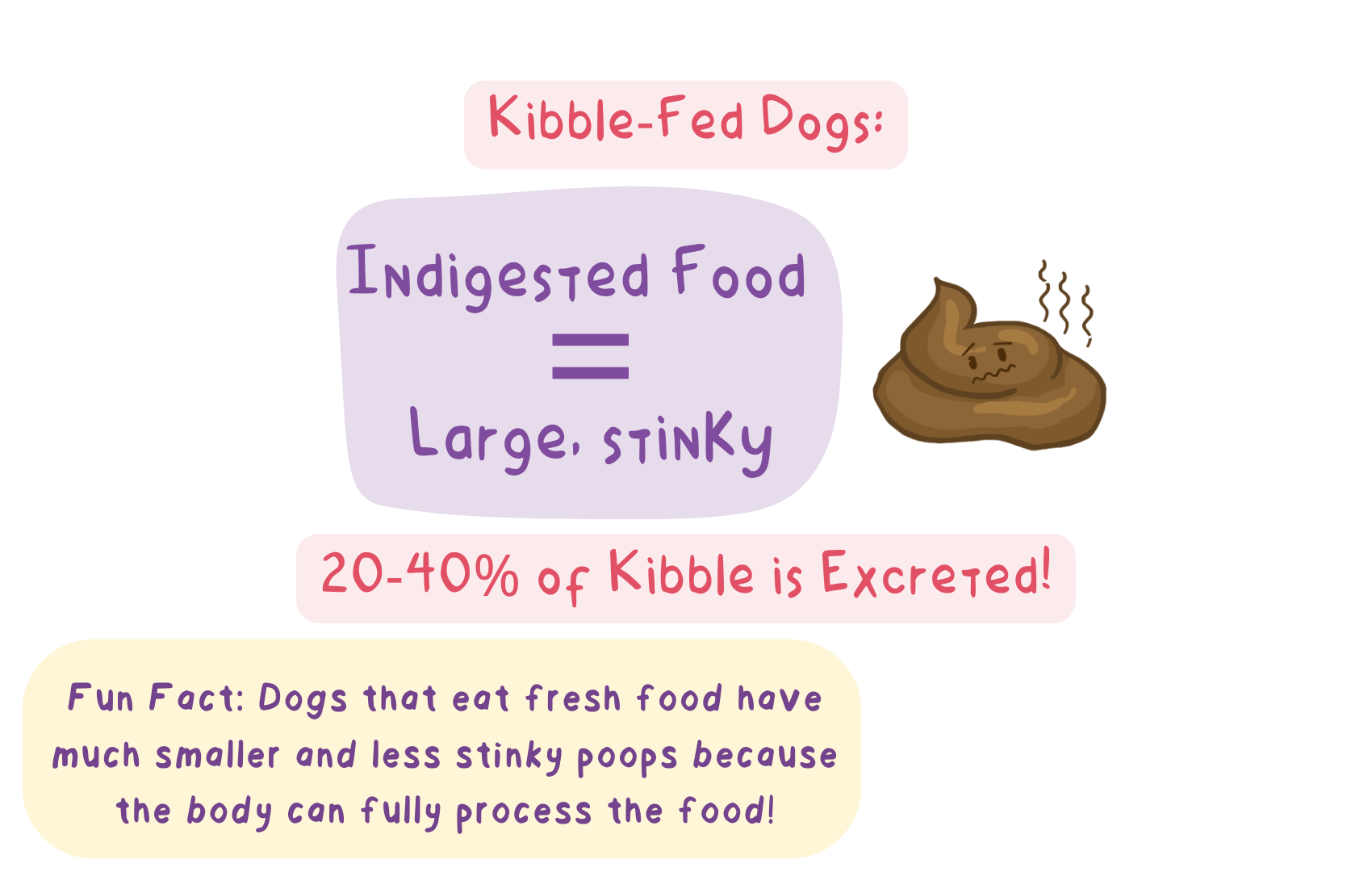 Become a Poop Inspector-monitoring your dog's health by examining his poop!