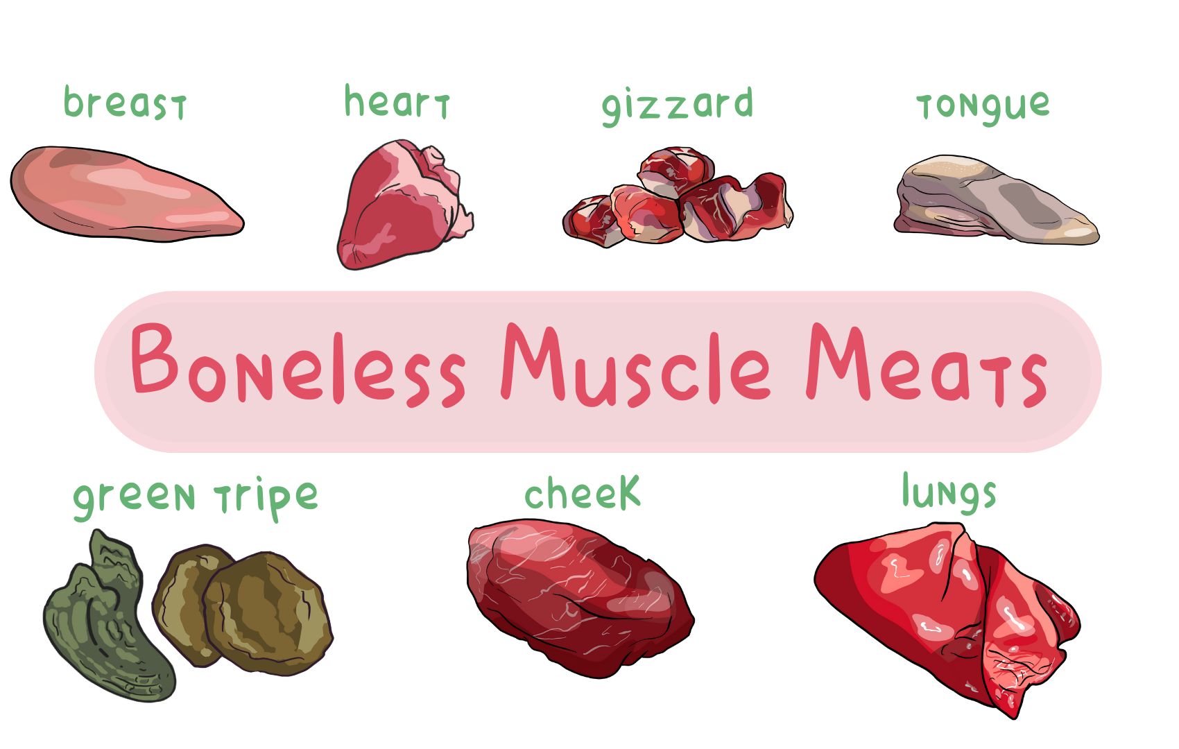 Making Your Dog's Bowl Without a Calculator