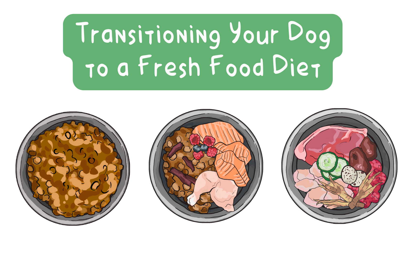 Transitioning Your Dog to Raw