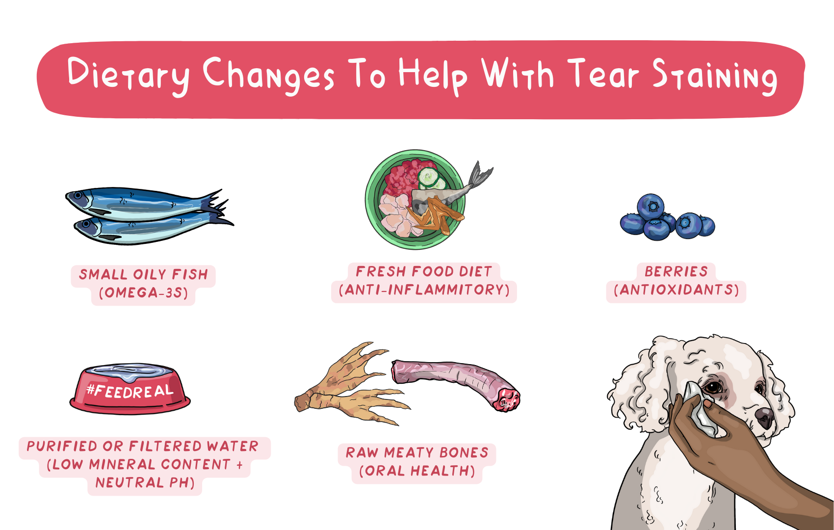 Dietary Considerations For Excessive Tears and Staining in Dogs