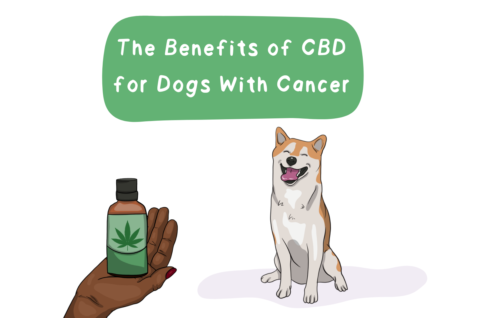 Feed Real Institute| Learn about your dog's nutrition and wellness.