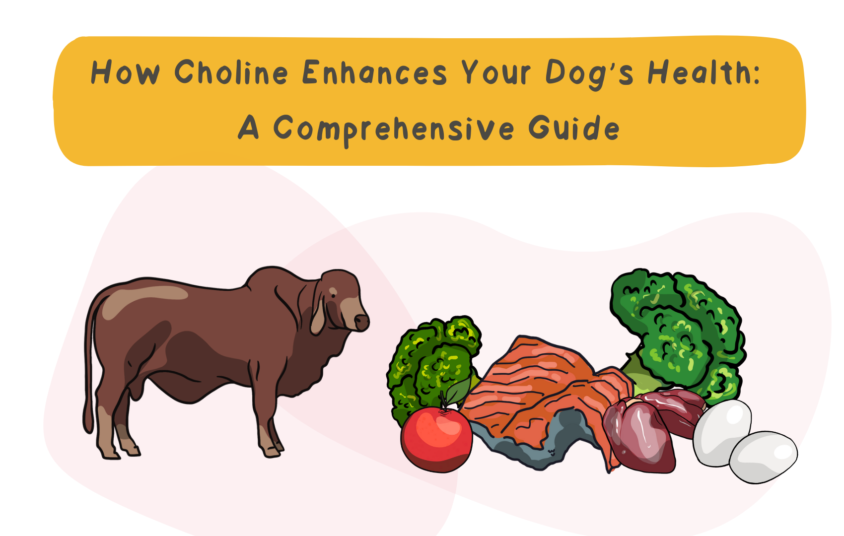 Feed Real Institute| Learn about your dog's nutrition and wellness.