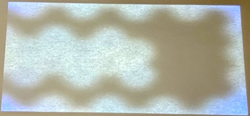 Inspecting the Backlight Unit and LPU (Form 4 and Form 4L generation)