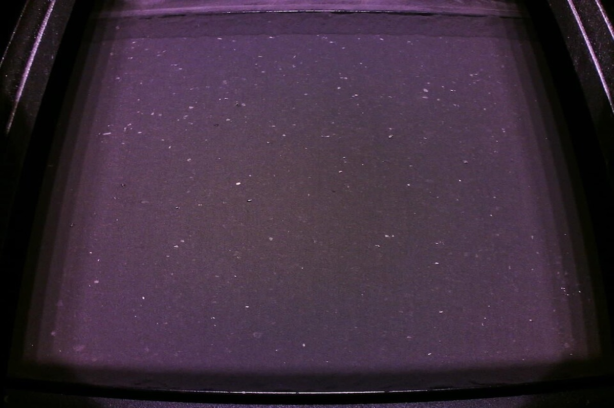 Powder contamination (SLS)