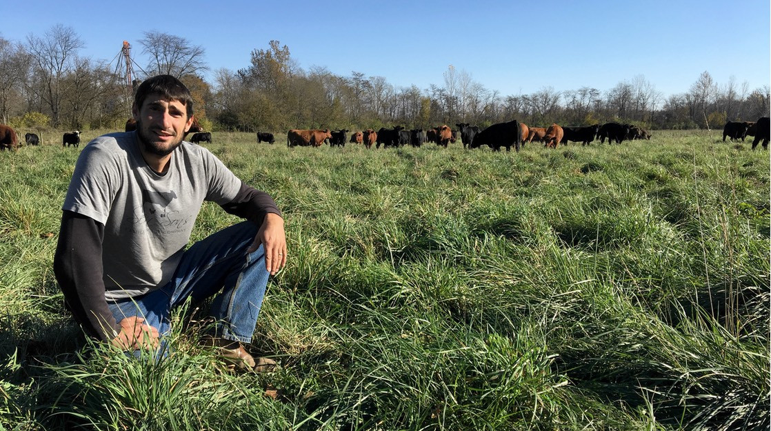 Grass-fed Beef Buyer’s Guide - Seven Sons Farms