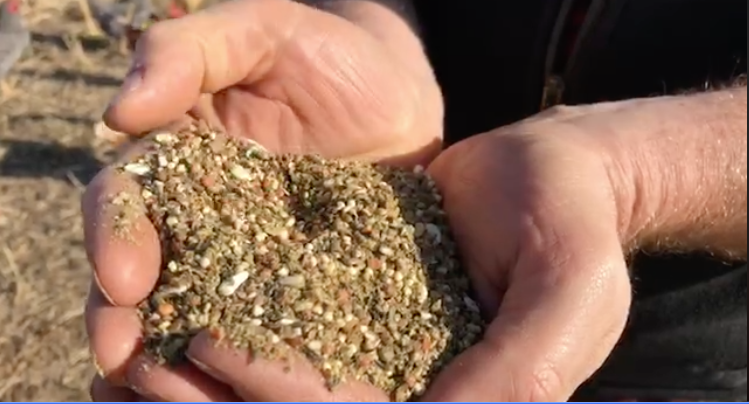 What Are Lectin-Free Eggs? - Seven Sons Farms