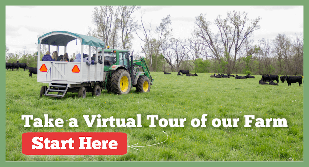 How to Make Homemade Cottage Cheese - Seven Sons Farms