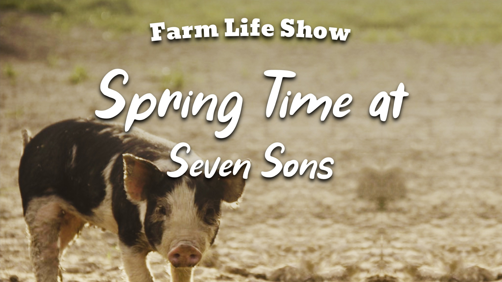 Farm Life Show (Ep.01) — Spring Begins at Seven Sons - Seven Sons Farms