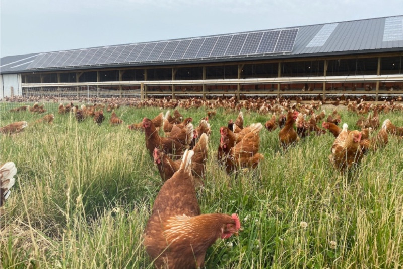 Farm Partners - Seven Sons Farms