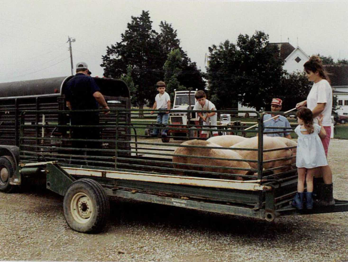 Our Manifesto - Seven Sons Farms