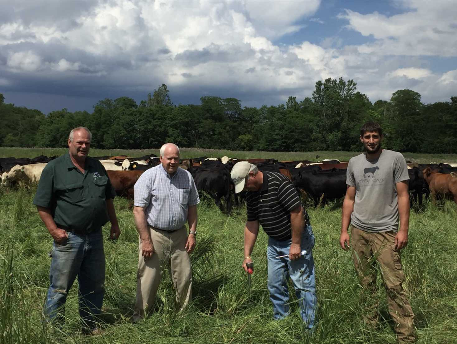 Our Manifesto - Seven Sons Farms