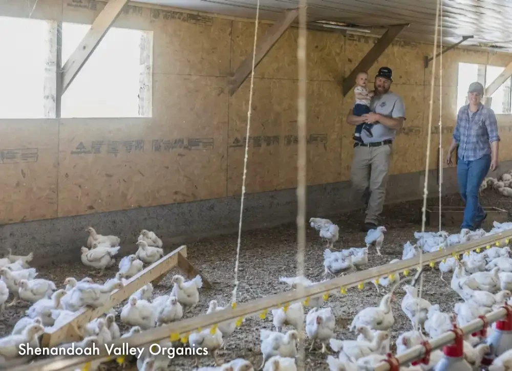 Seven Sons Ethically-Raised Chicken - Seven Sons Farms