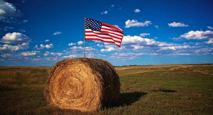 Freedom and the Family Farm - Seven Sons Farms