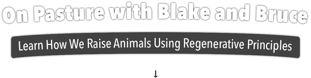 Seven Sons Farm Tour - Seven Sons Farms