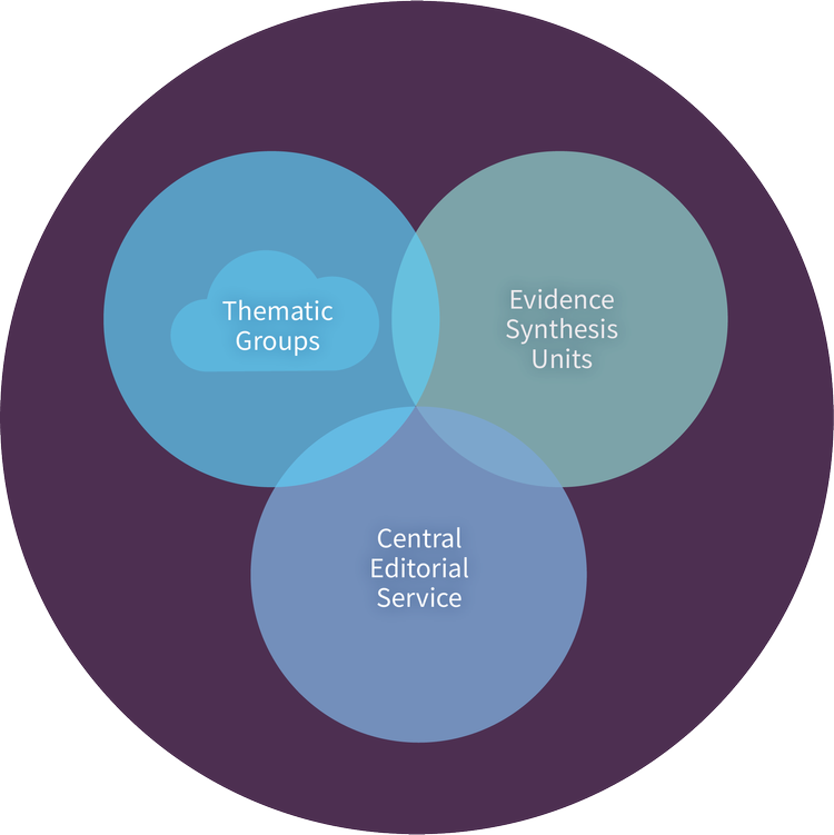 Cochrane’s new review format: tell us what you think