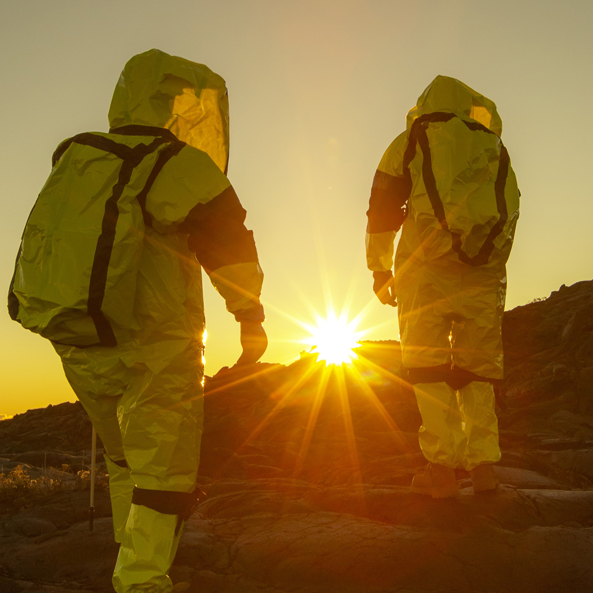 In Silico - Sandbox Films