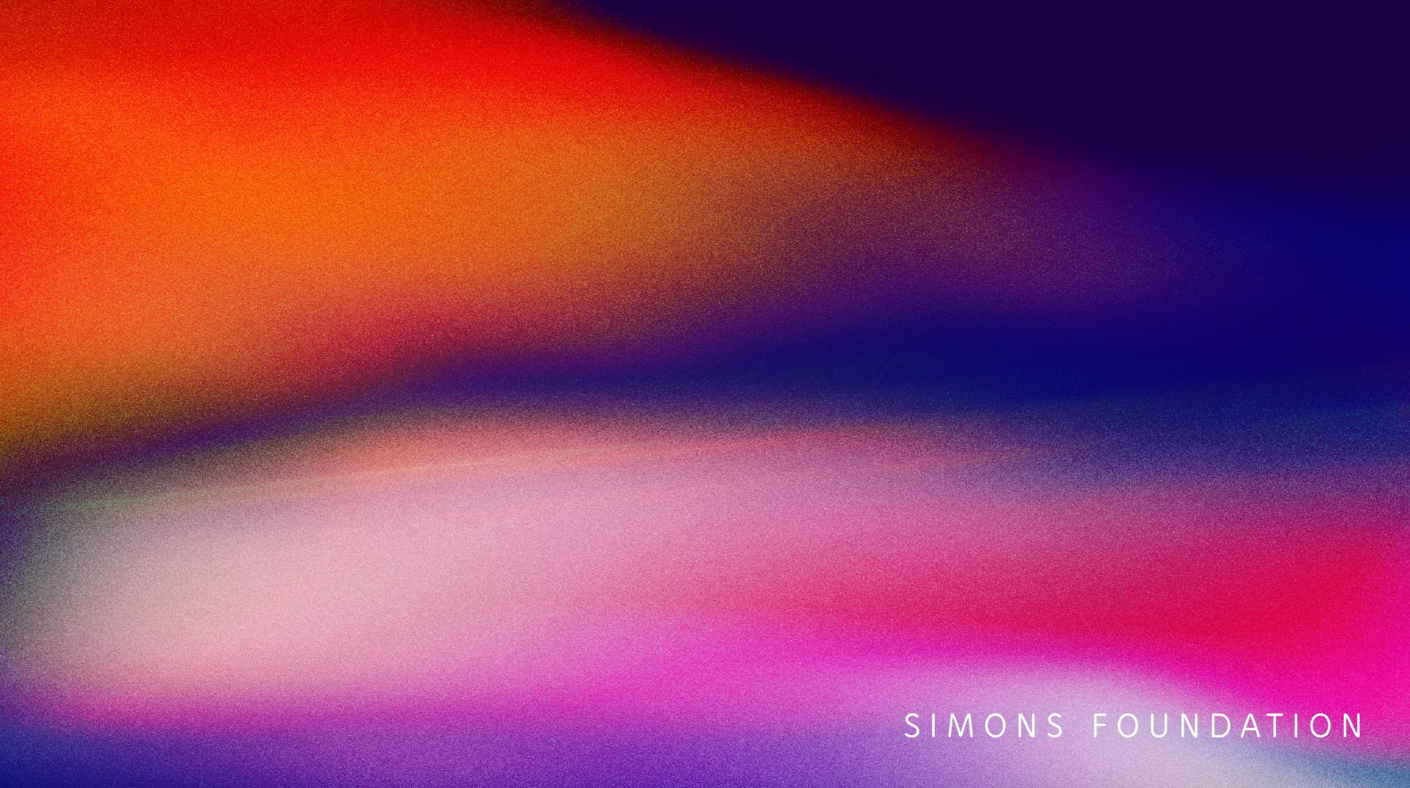 Simons Foundation 2019 Annual Report