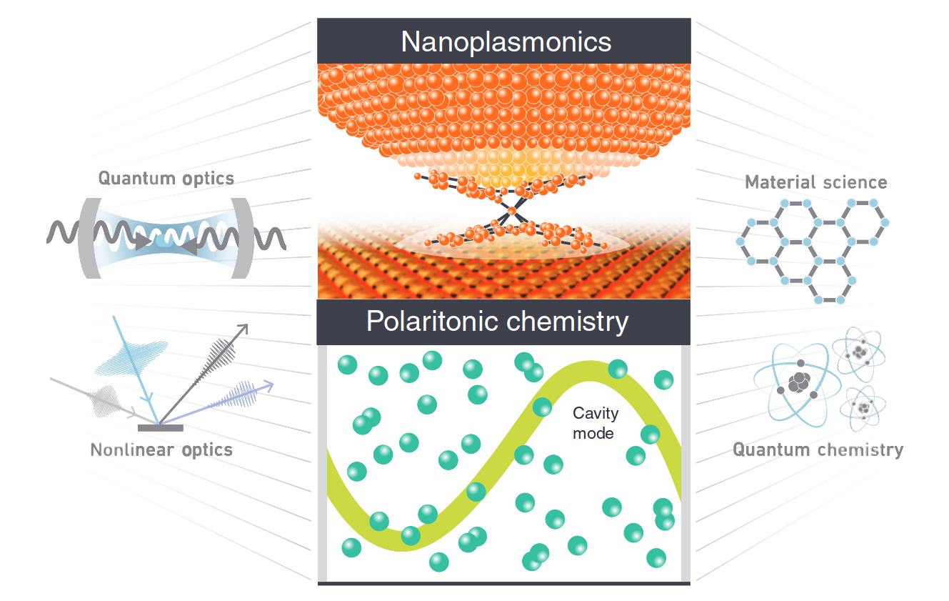 Strong Light-Matter Coupling of Molecular Systems