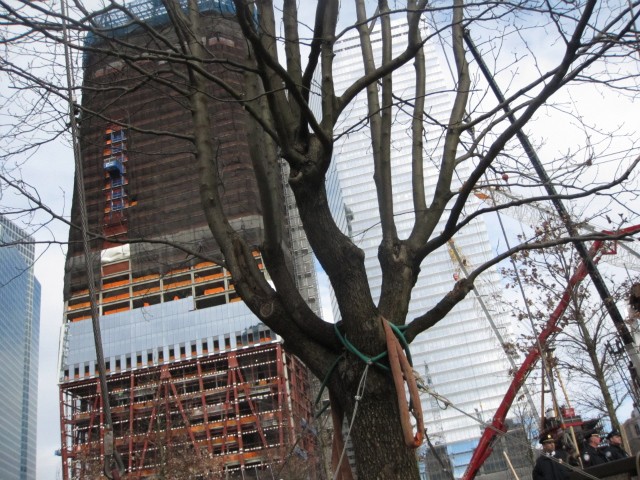 NEW YORK | National September 11 Memorial & Museum | Com | Page 12 ...